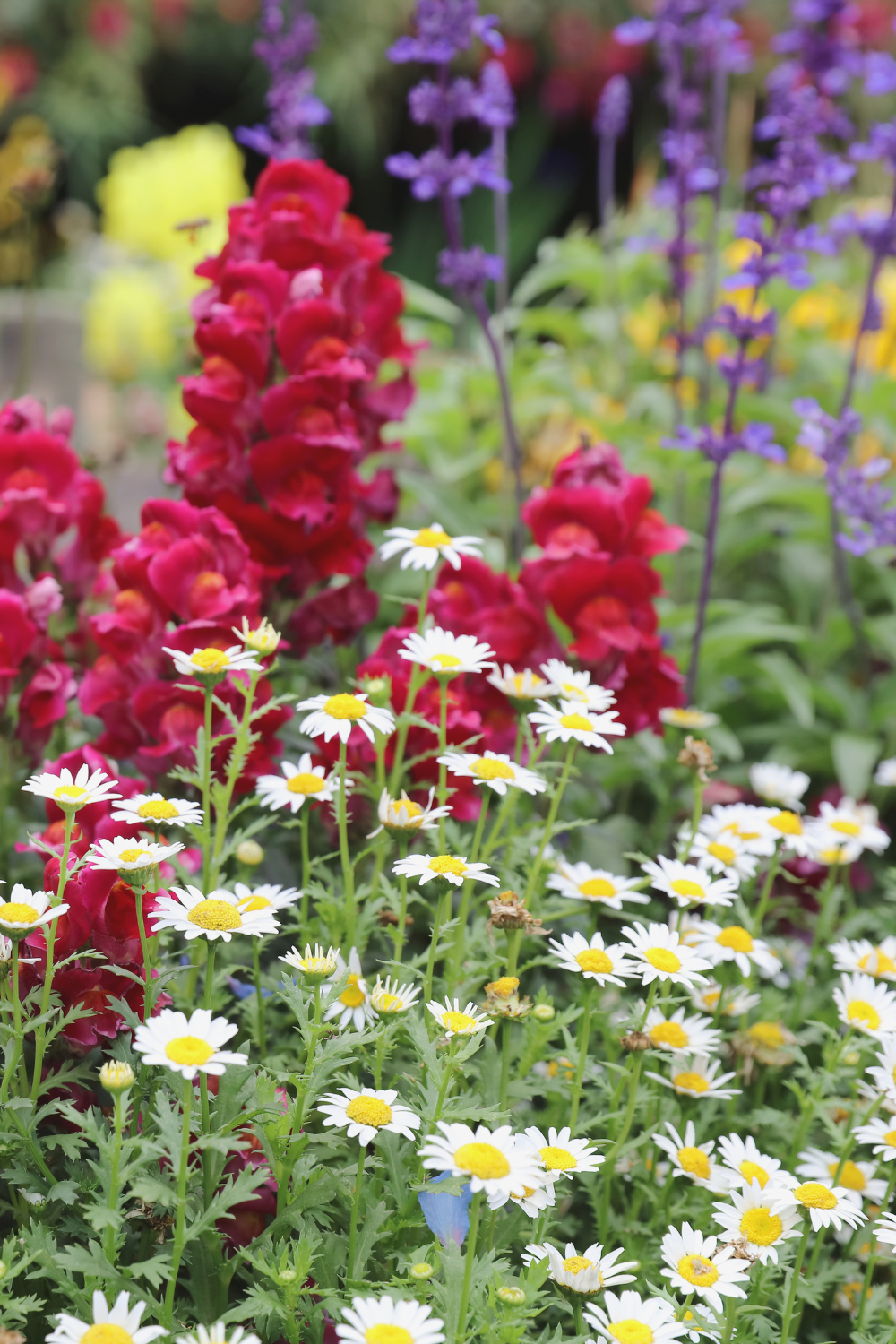 13 Secrets to Achieving a Picture-Perfect Cottage Style Garden - Her ...