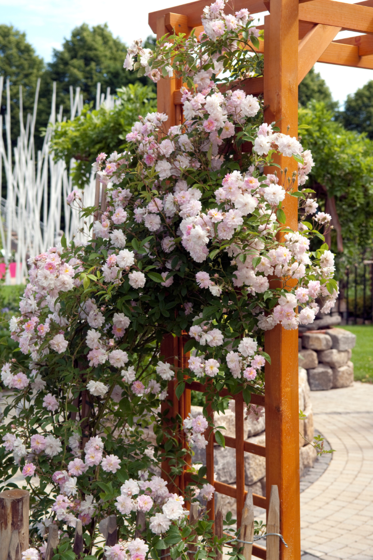 13 Secrets to Achieving a Picture-Perfect Cottage Style Garden - Her ...