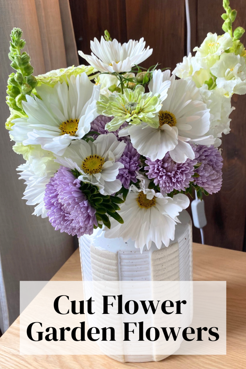 5 Beginner-Friendly Flowers I am Growing in My Cut Flower Garden This ...