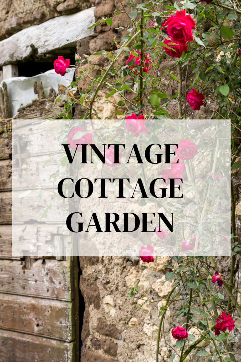 How to Start a Vintage Cottage Garden from Scratch - Her Cottage Home